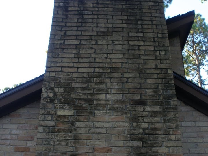Eatoils Newsblog: Removing Mold & Mildew From Soft Mexican Brick With ...