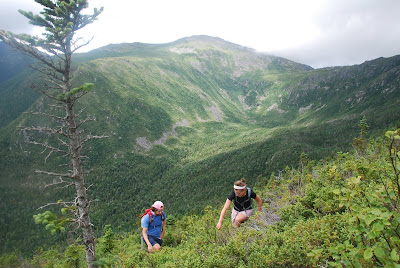 Gulliver's Nest: The Adams Slide Trail: A Short Walk in the Great Gulf