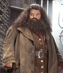 SOENIA 'LOONY' SCAESARIE: Tokoh-tokoh Guru Hogwarts School