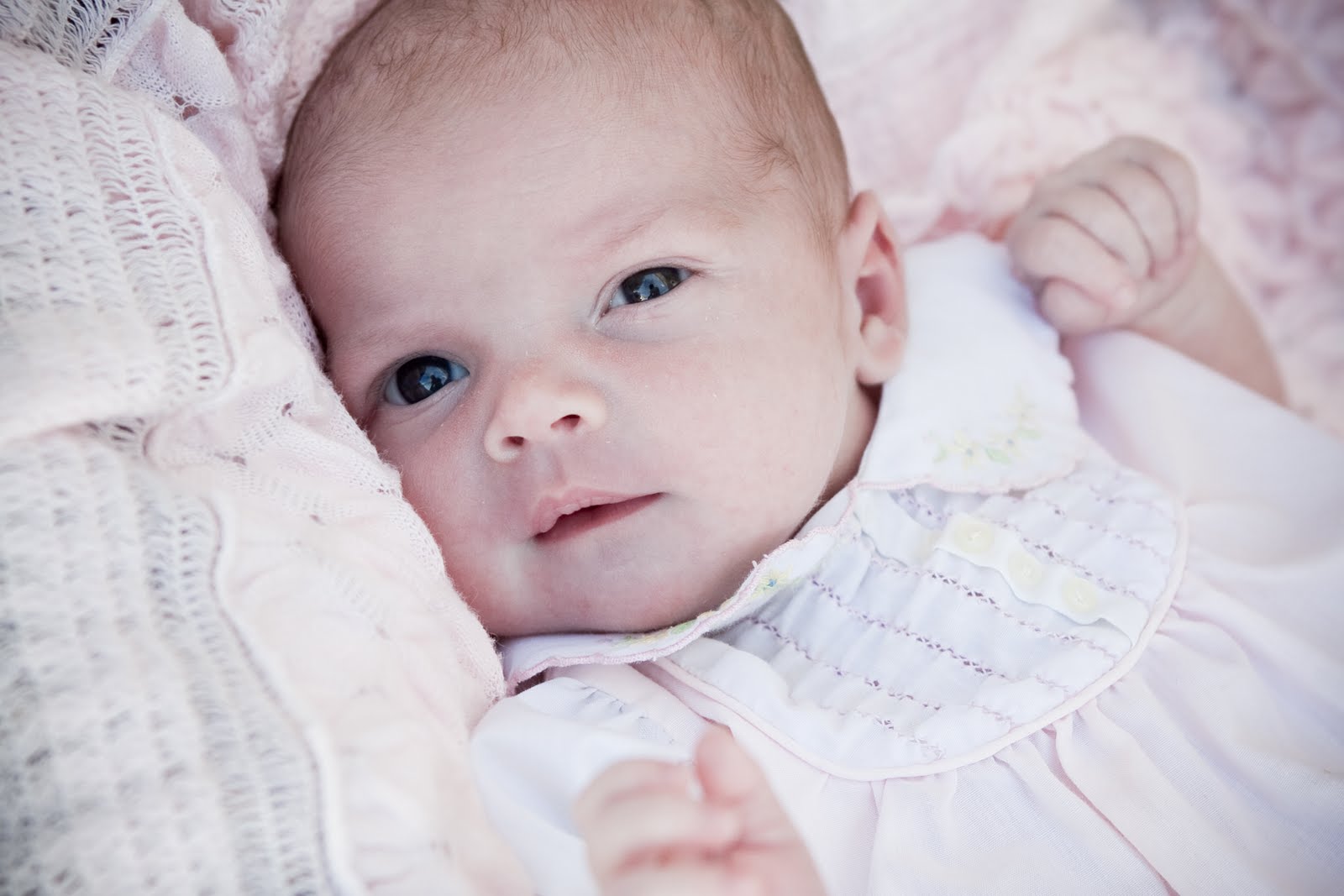 Nicole Hatter Photography: Baby Addison