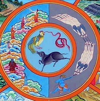 Des hauts et des bananes: Yoga 101 - Kleshas illustrated