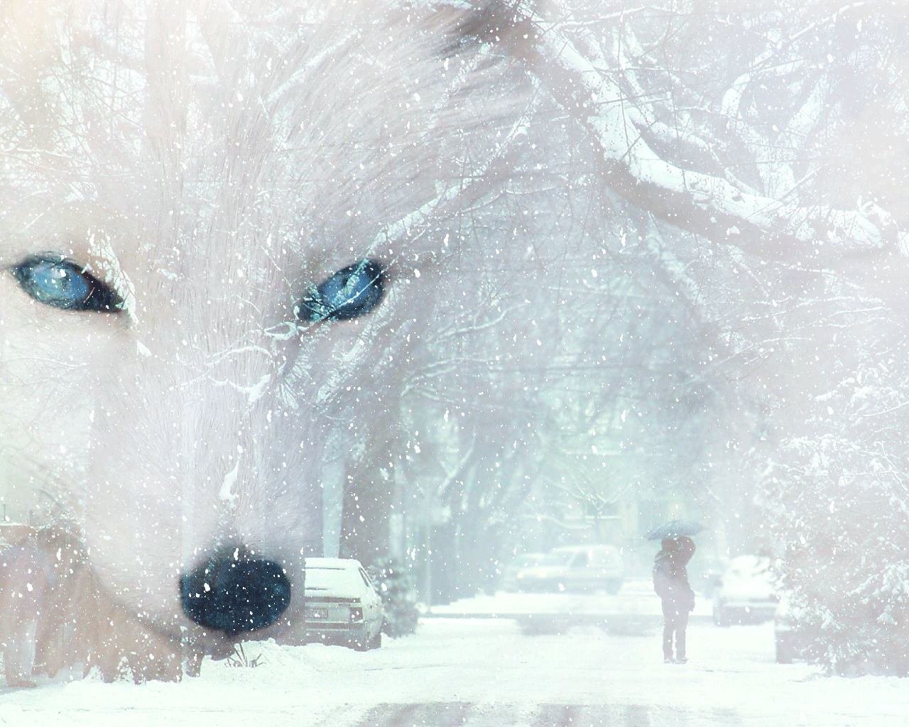 Digital Media Photoshop: Snow Eyes