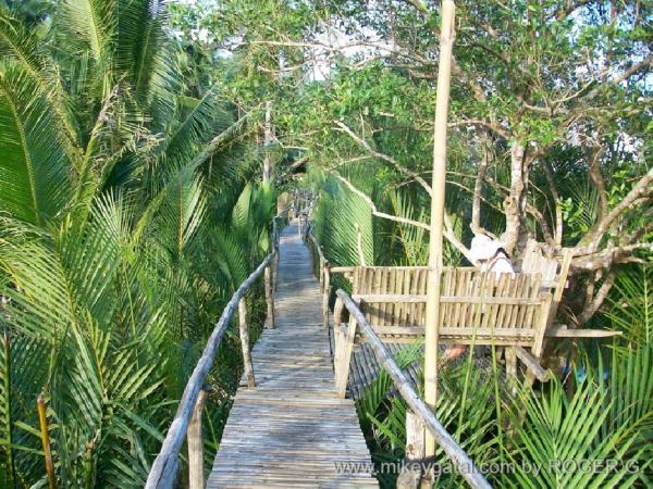 Inabanga, Bohol, Philippines: MY HOMETOWN "INABANGA, BOHOL"