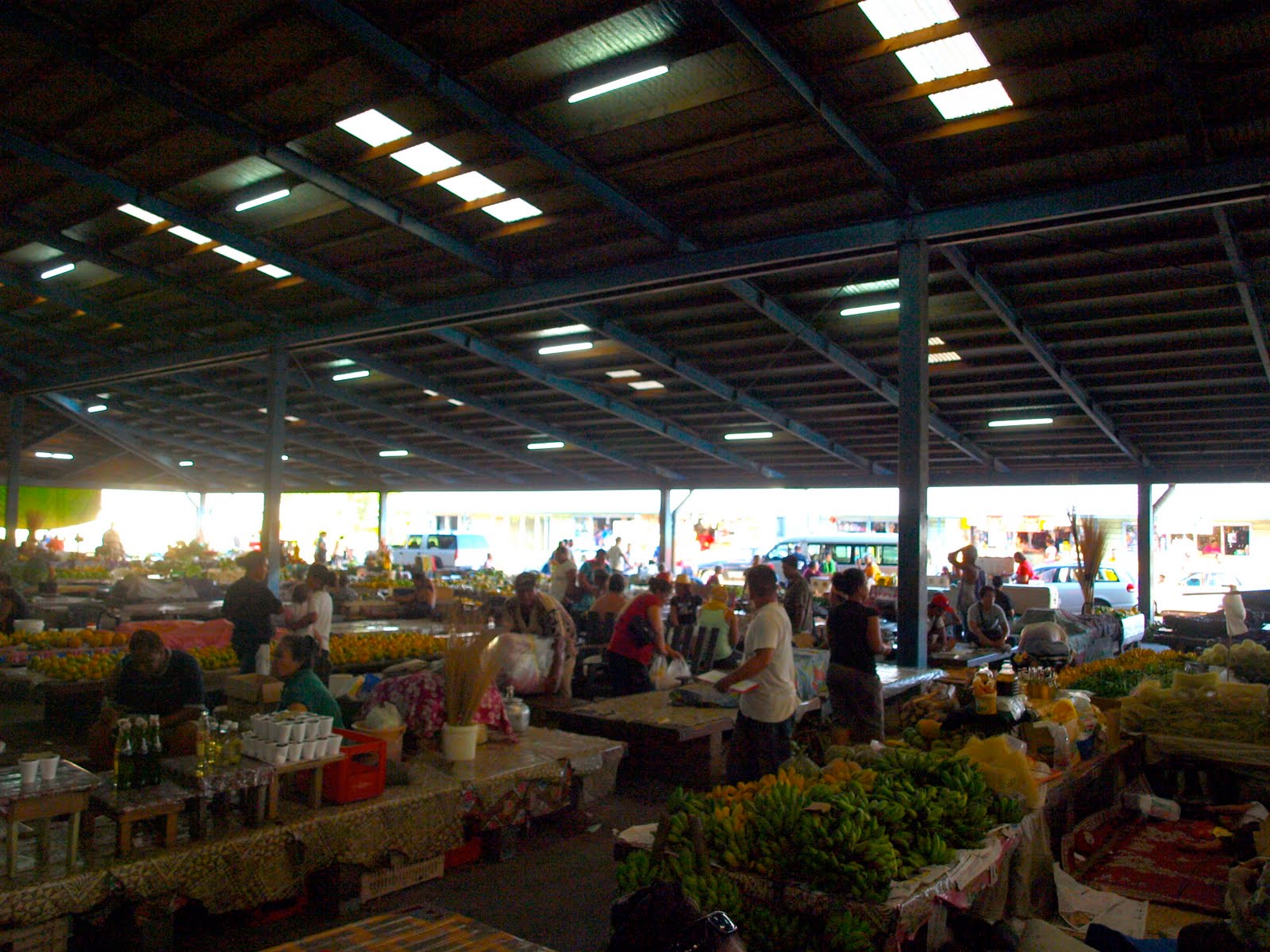 Where in the World is Nathalie?: Talofa to Samoa!