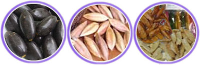 Orgullo Kan Mga Bikolanos (The Pride of Bicolanos): Bicol Sweets ...