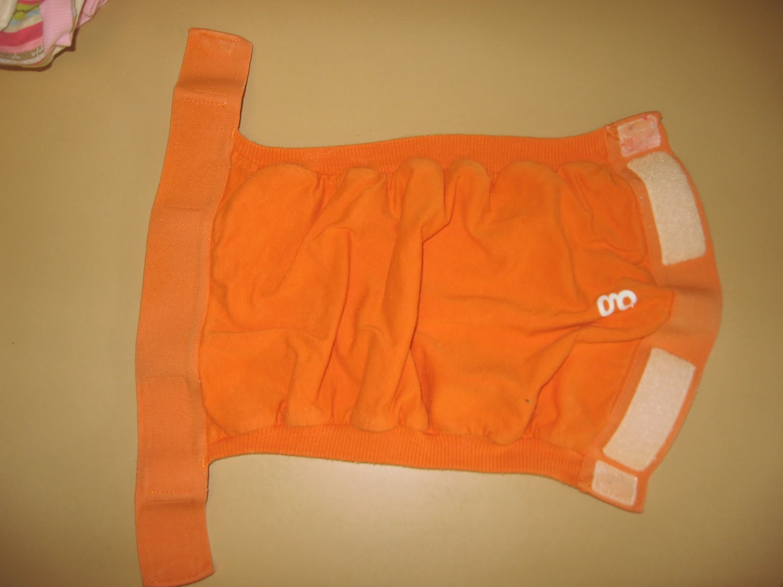 Cloth Diaper Addiction: G-Diapers