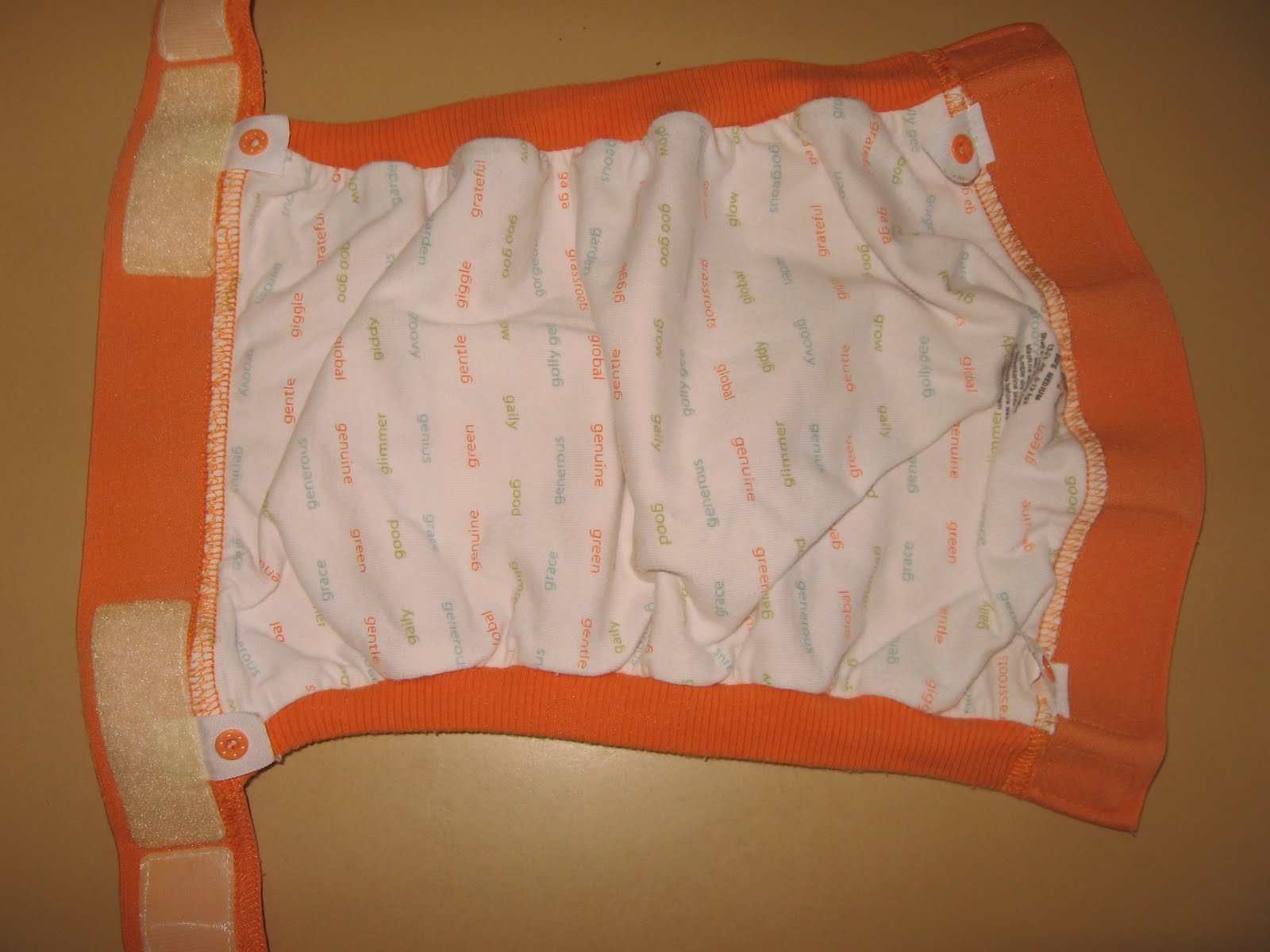 Cloth Diaper Addiction: G-Diapers