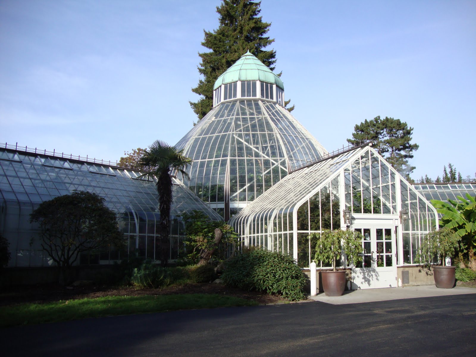 danger garden: W.W. Seymour Botanical Conservatory in Wright Park