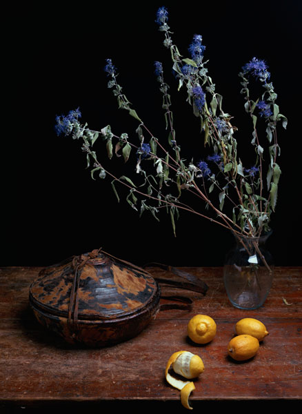 Justine Reyes Photography: 50 Artists Photograph the Future