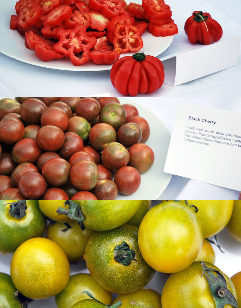 ...serendipity...: ODE AL POMODORO