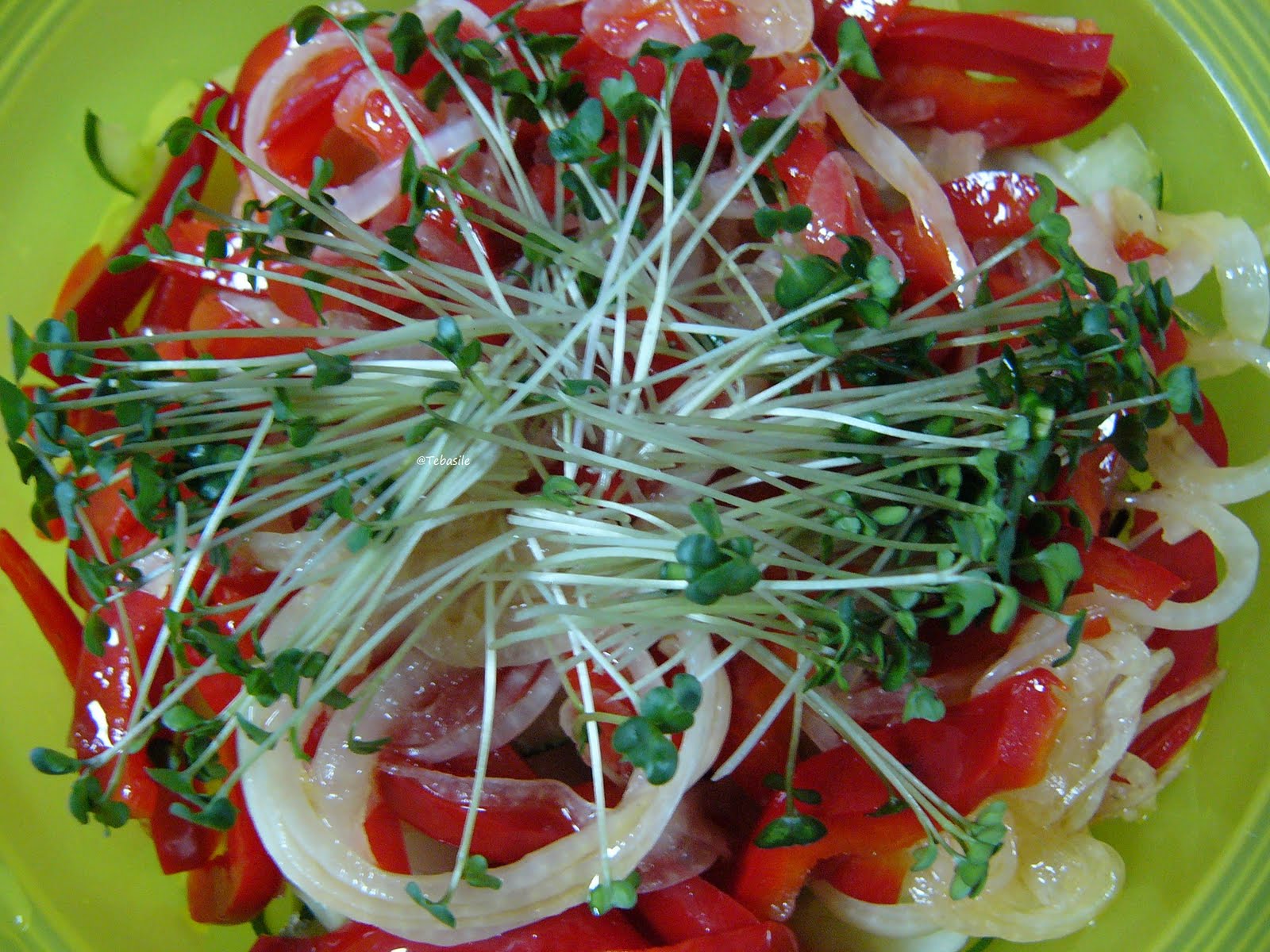 Tebasiles Kitchen: Marinated Bell Pepper Salad