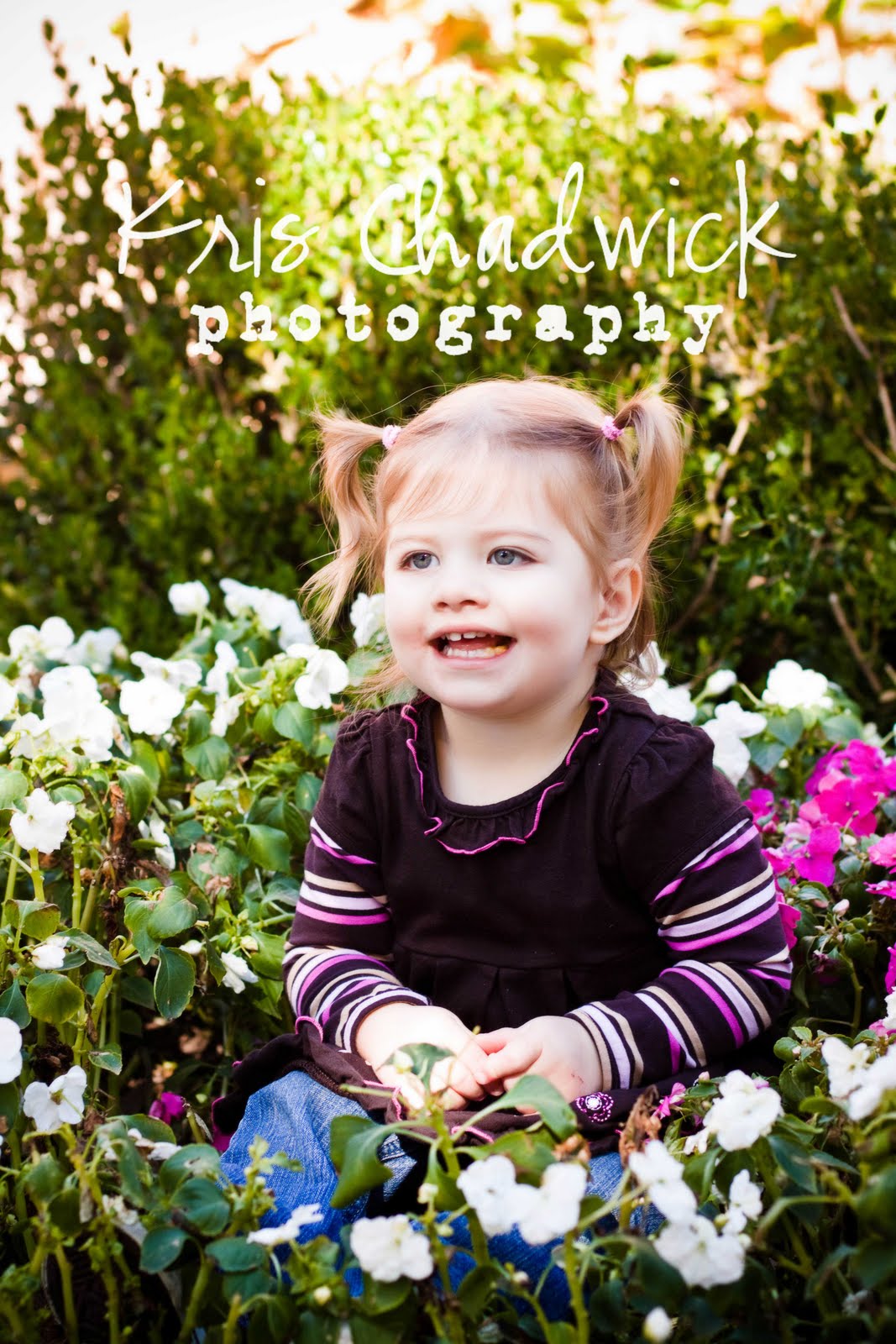 Kris Chadwick Photography: university of denver campus