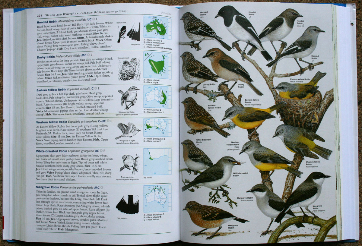 Vickie Henderson Art: Simpson & Day Field Guide to the Birds of ...