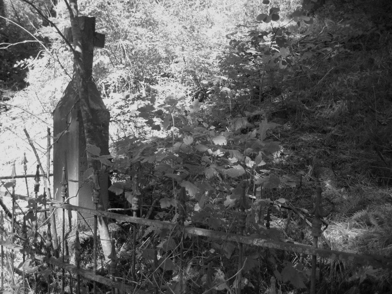 Whatever Happened To ...: "The Big Burn" 1910 Fire