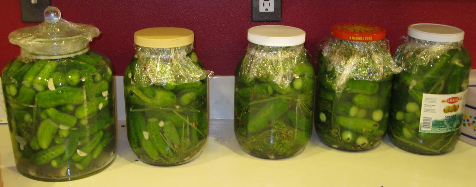 Nagle5 News: Sun Dill Pickles