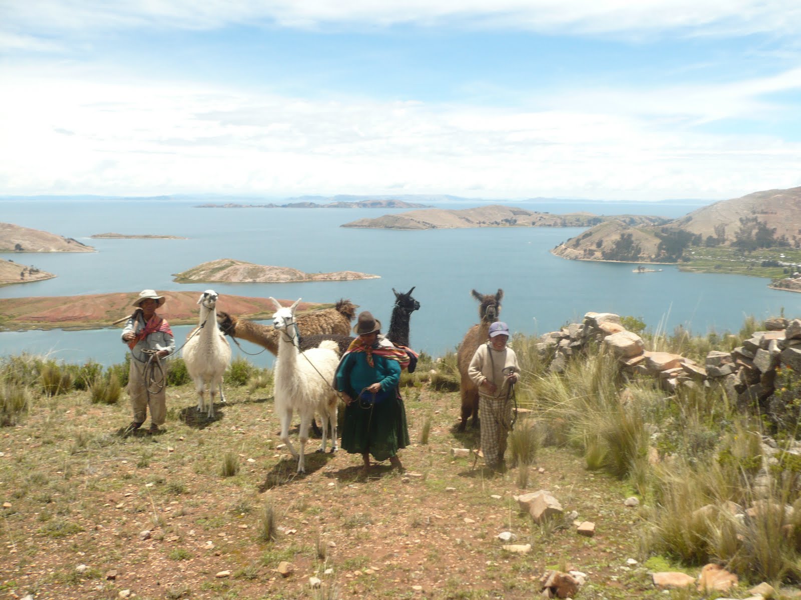 ECOTURISMO C.P. MALLCO - CONIMA