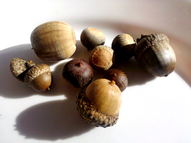 Divinebunbun's Rugged Rural Missouri: 2010