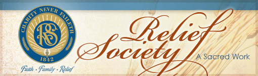 McAllen 1st Relief Society: January 2011