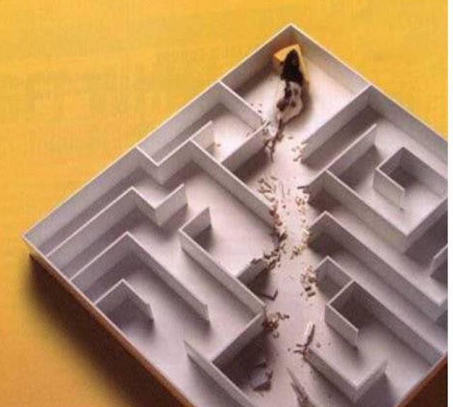 Aprendizaje y Condicionamiento para Alumnos de Psicología: De lo que es ...