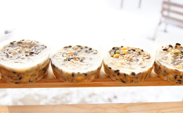 Ewa in the Garden: How to make pretty bird food?