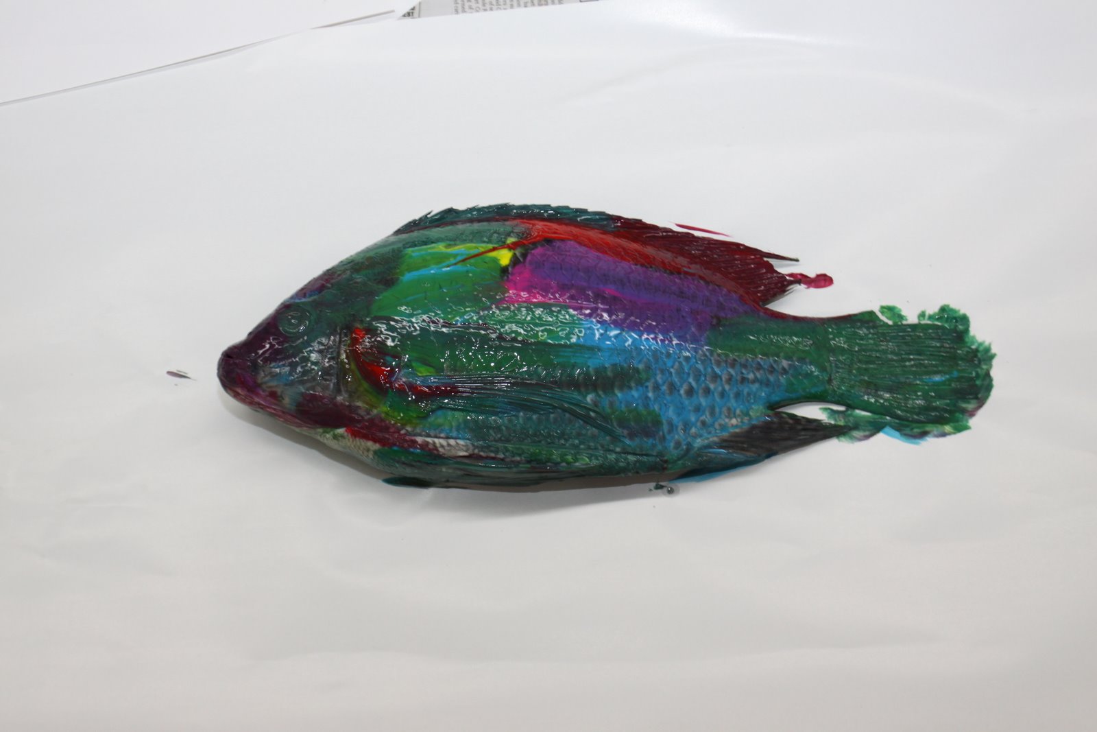 In Art Class: Fish Printing