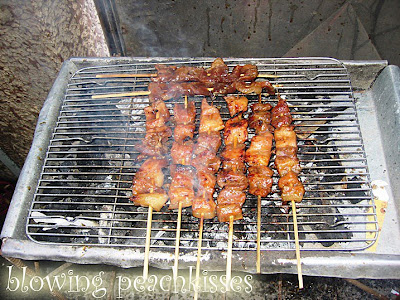 blowing peachkisses...: Frontyard Barbecue