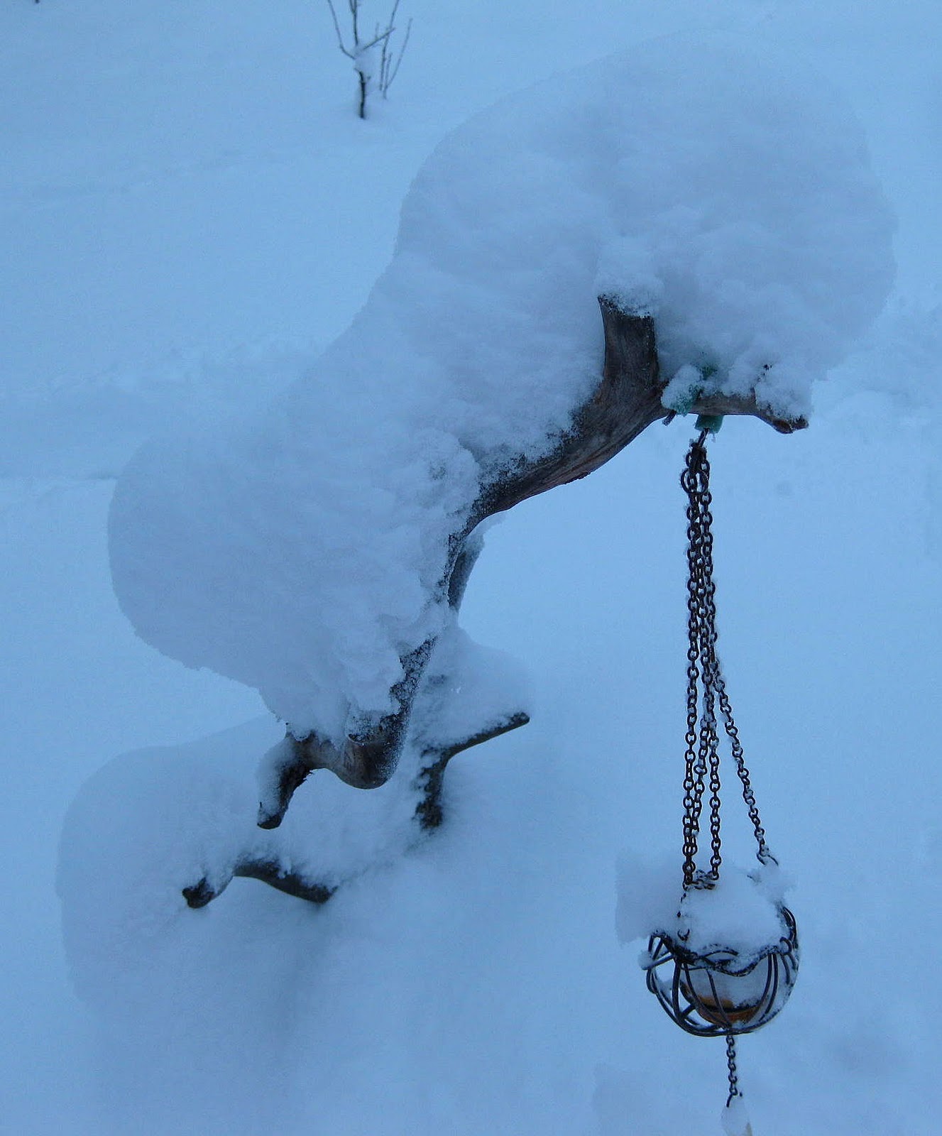 Morsingon pihalta: Talvikuva 2011