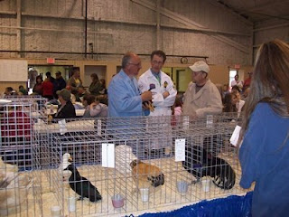 For the Love of Chickens, Goats and Art!: Southeast Ohio Poultry ...