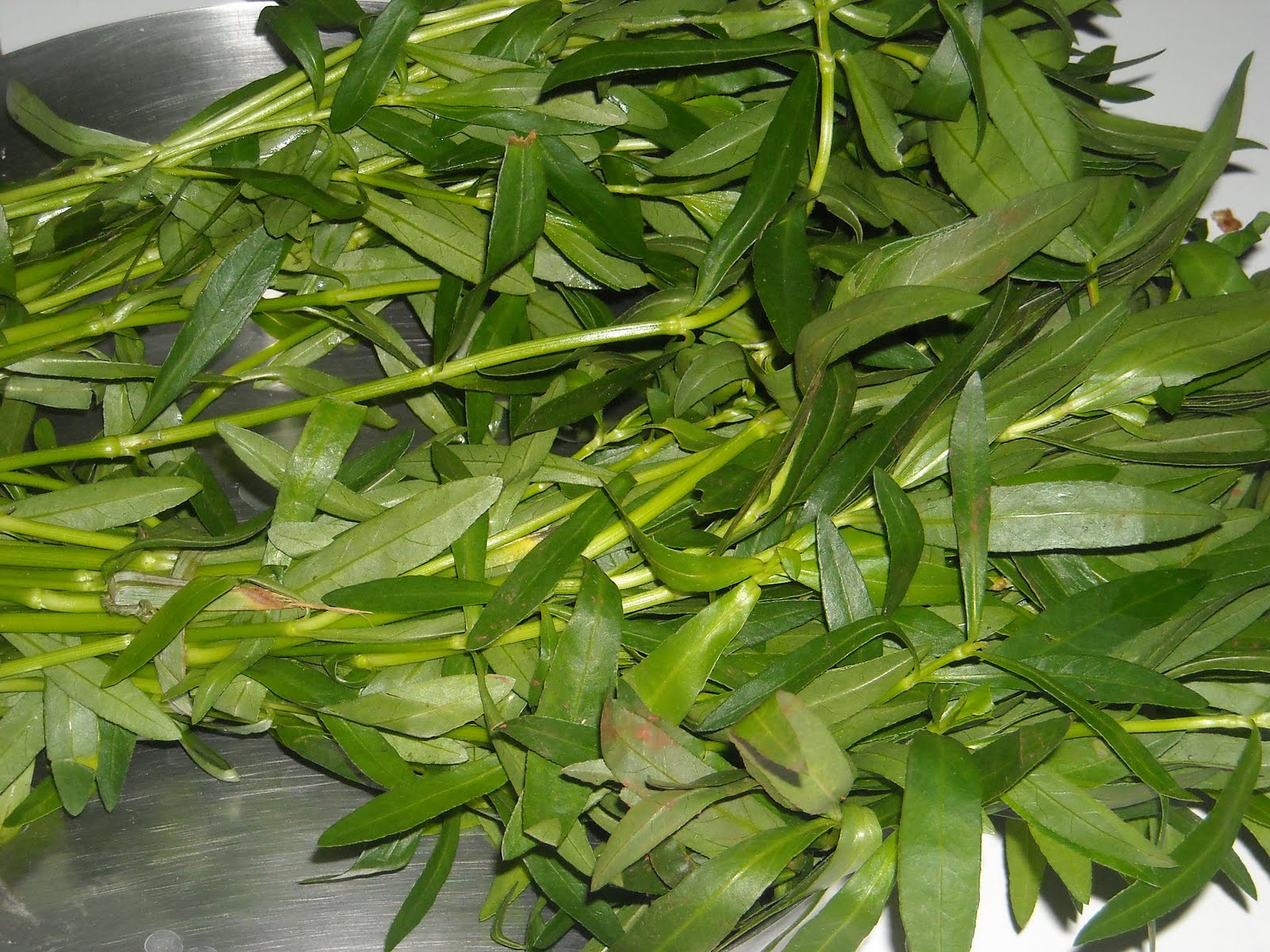 My Kitchen's Aroma: Ponnaganti/Water Amaranth and Pesarapappu(moong dal ...