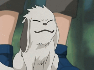 Akamaru - Naruto Shippuden