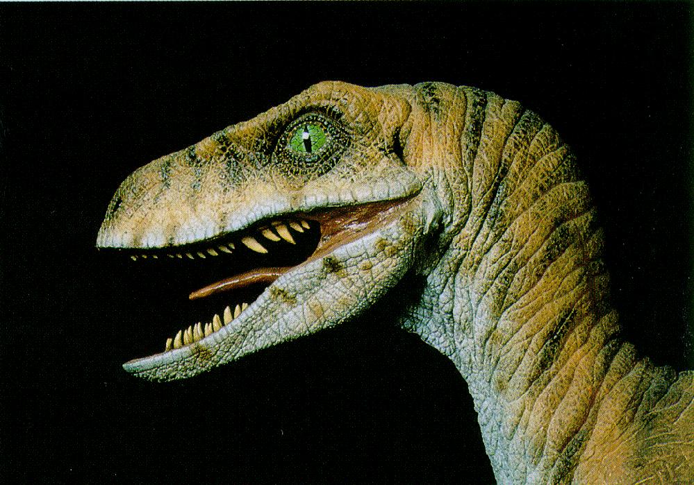 laura star: velociraptor