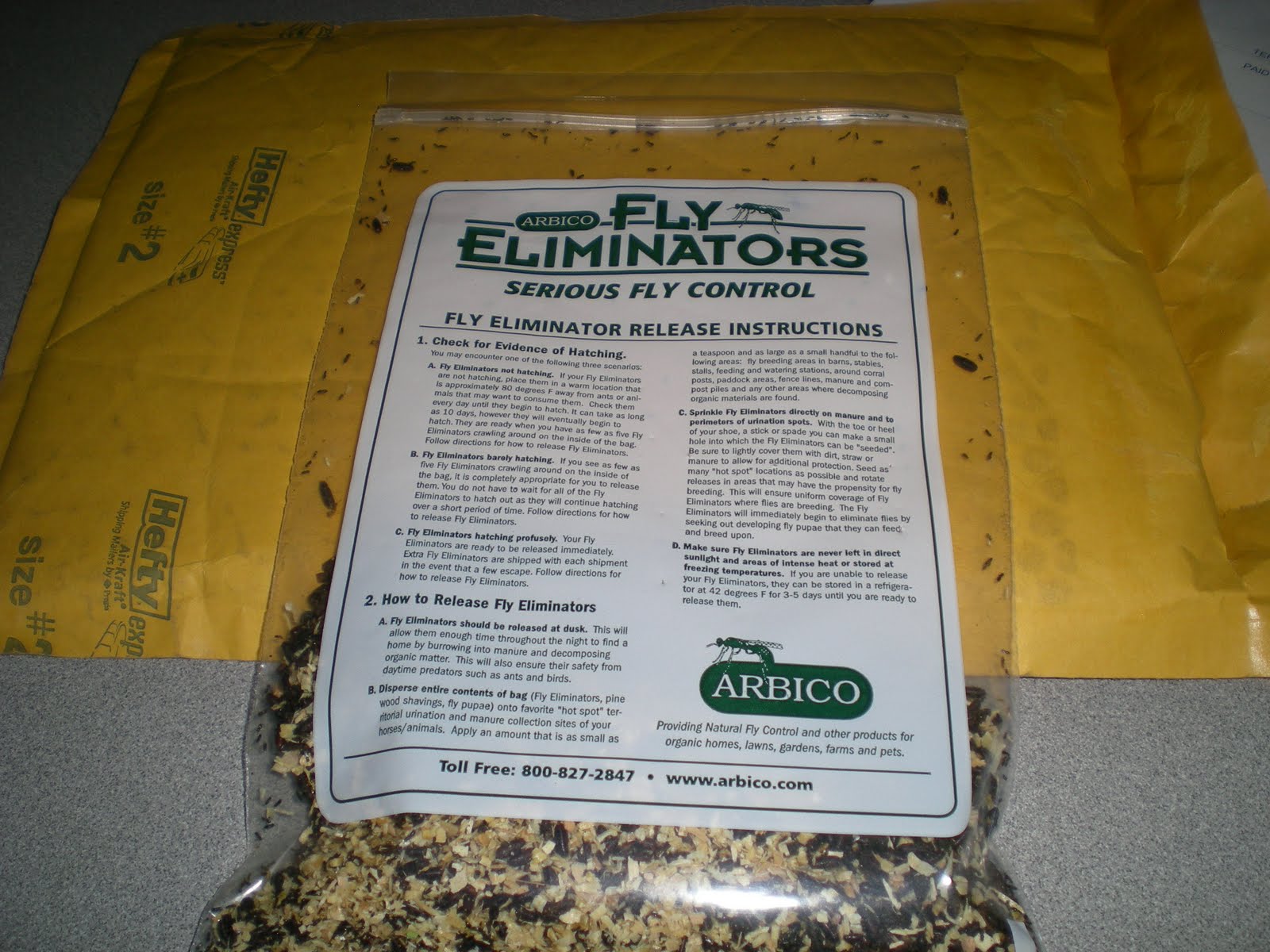 Rhymes With Vanilla: Fly Predators