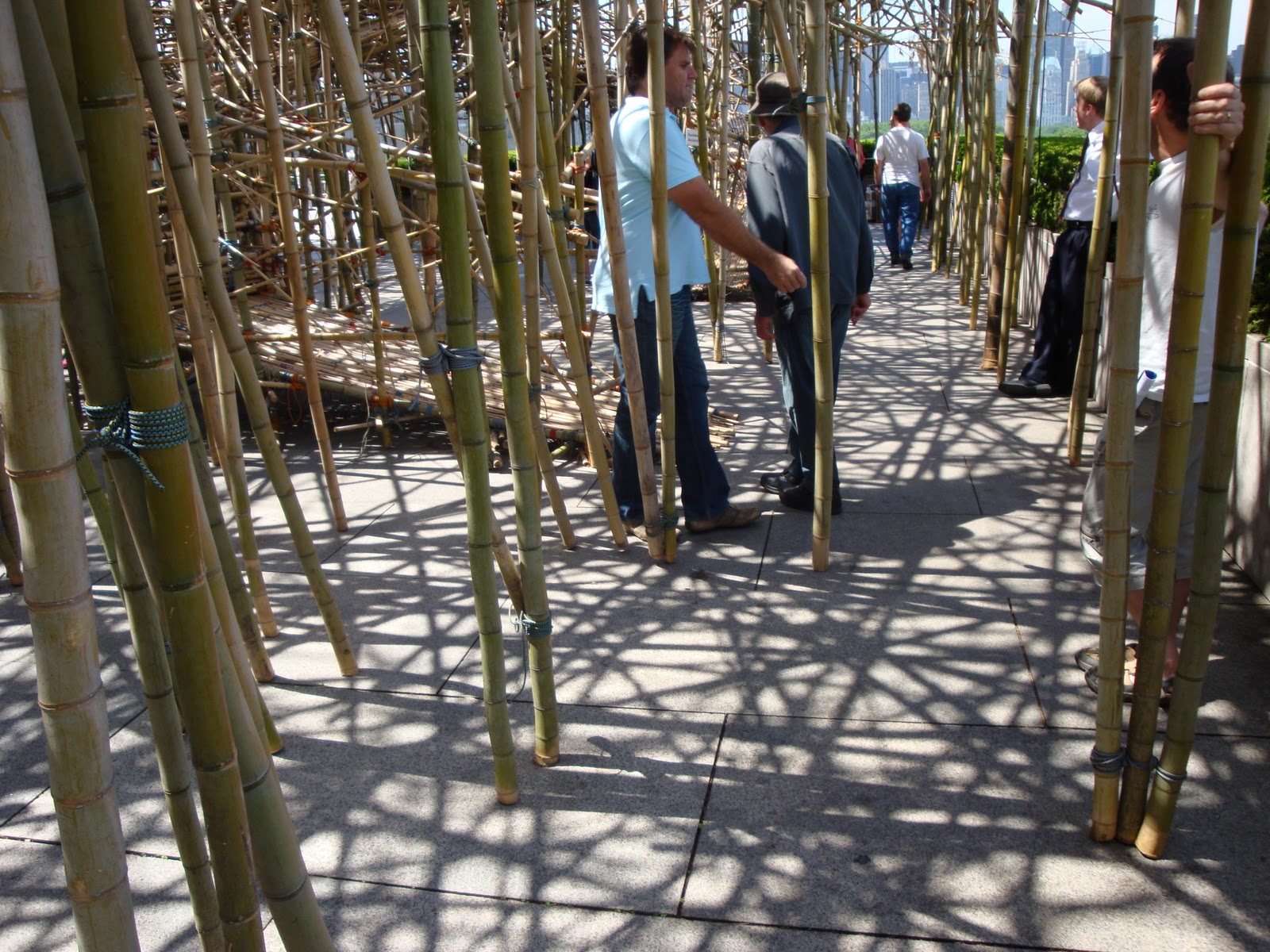 The Hooked Nose: A Bamboo Castle in the Air