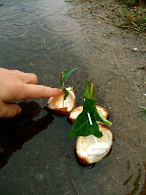 Acorn Pies: How to Make Little Horse Chestnut Ships