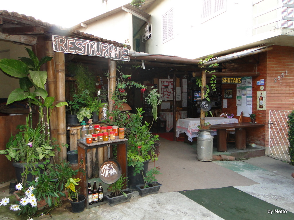 Dicas do Netto: Cantinho da Valéria Fernandes - A ARTE EM DOCES