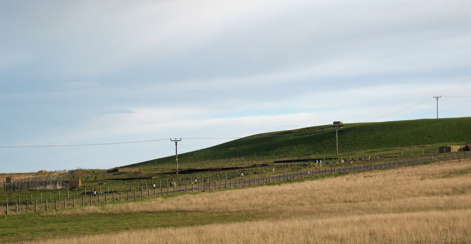 walking the rainbow trail: Frosty morning walk