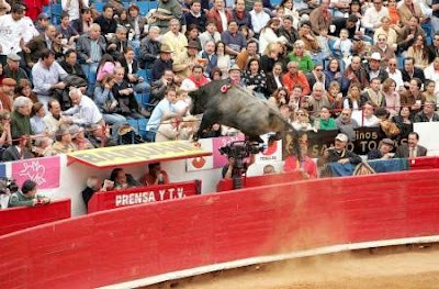 VitoPtah: "PAJARITO" : El Toro que Voló