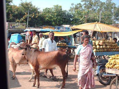 Gudur to Rapur to Penchalakona