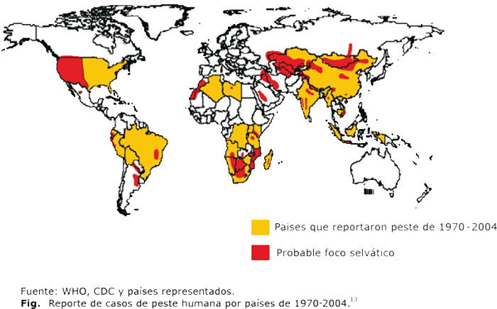 ¡Asegurándonos!: La peste enfermedad reemergente en el Perú y el mundo