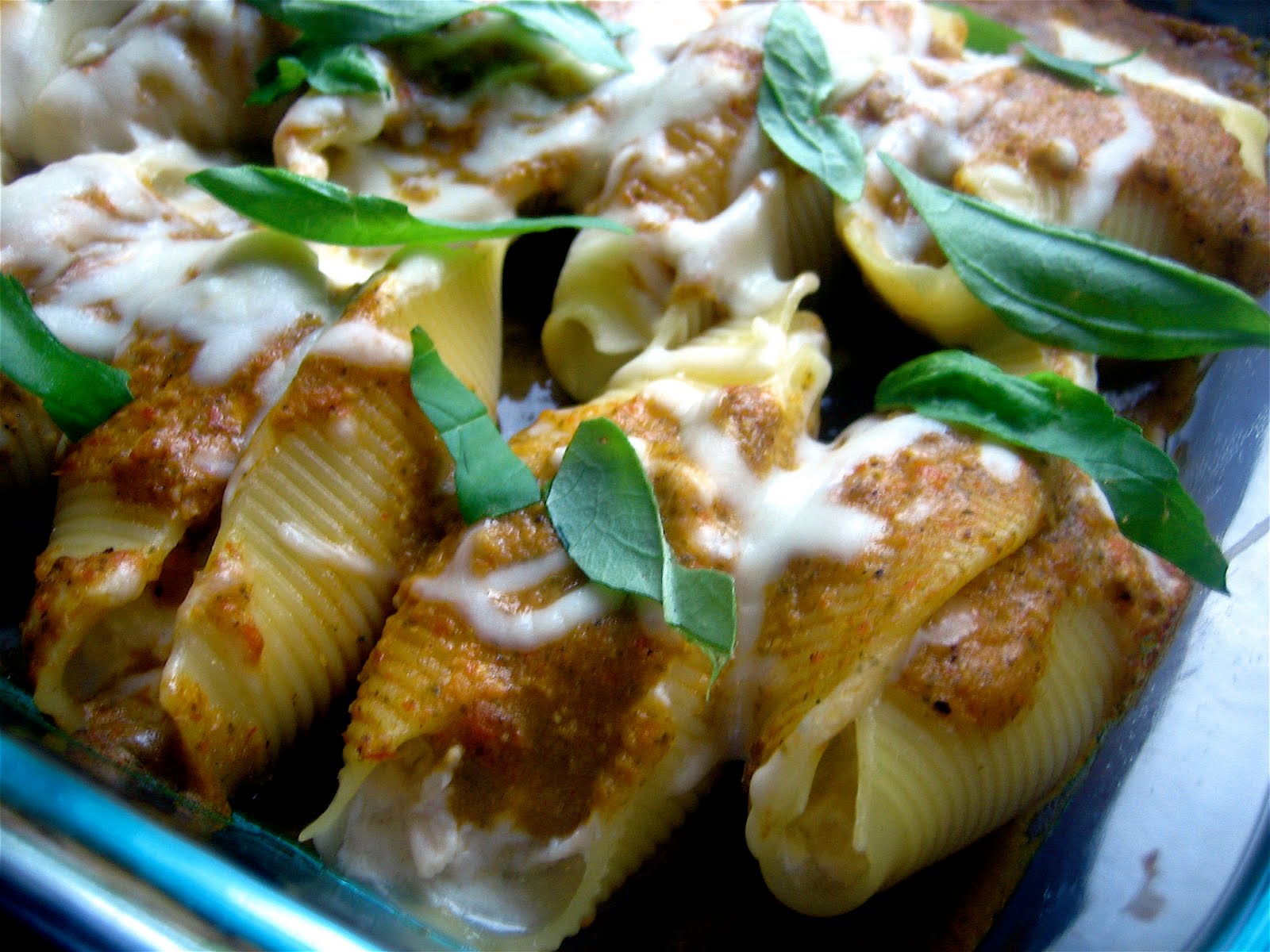 Stephanie Cooks: Chicken and Cheese Stuffed Shells