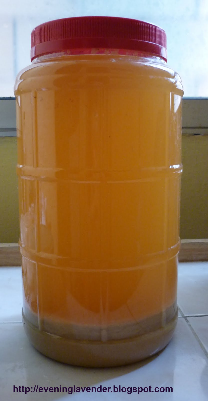 Evening Lavender: How To Make Your Own Garbage Enzyme