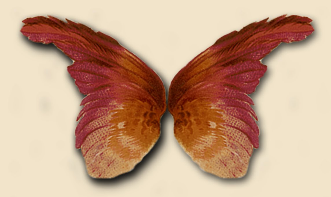 MudBay Images: Autumn Wings