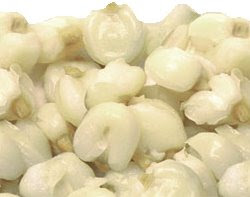 Eating Chilean: Feasting with the Enemy: 17th Century Mapuche food