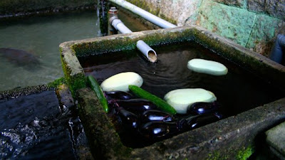 what a beautiful life: KABATA-かばた