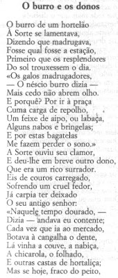 Textos longos: O burro e os donos