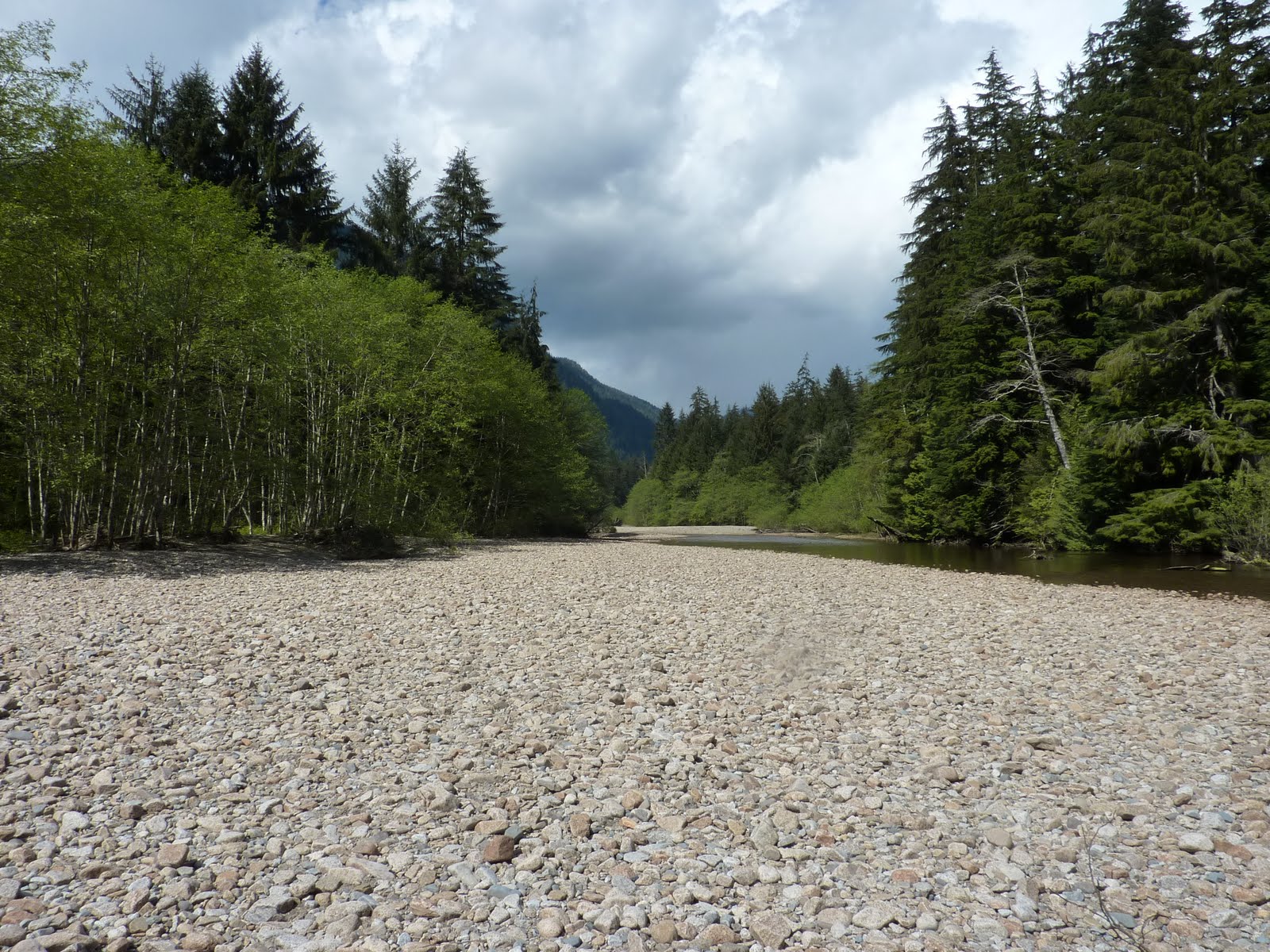 Biking in Vancouver: Demonstration Forest
