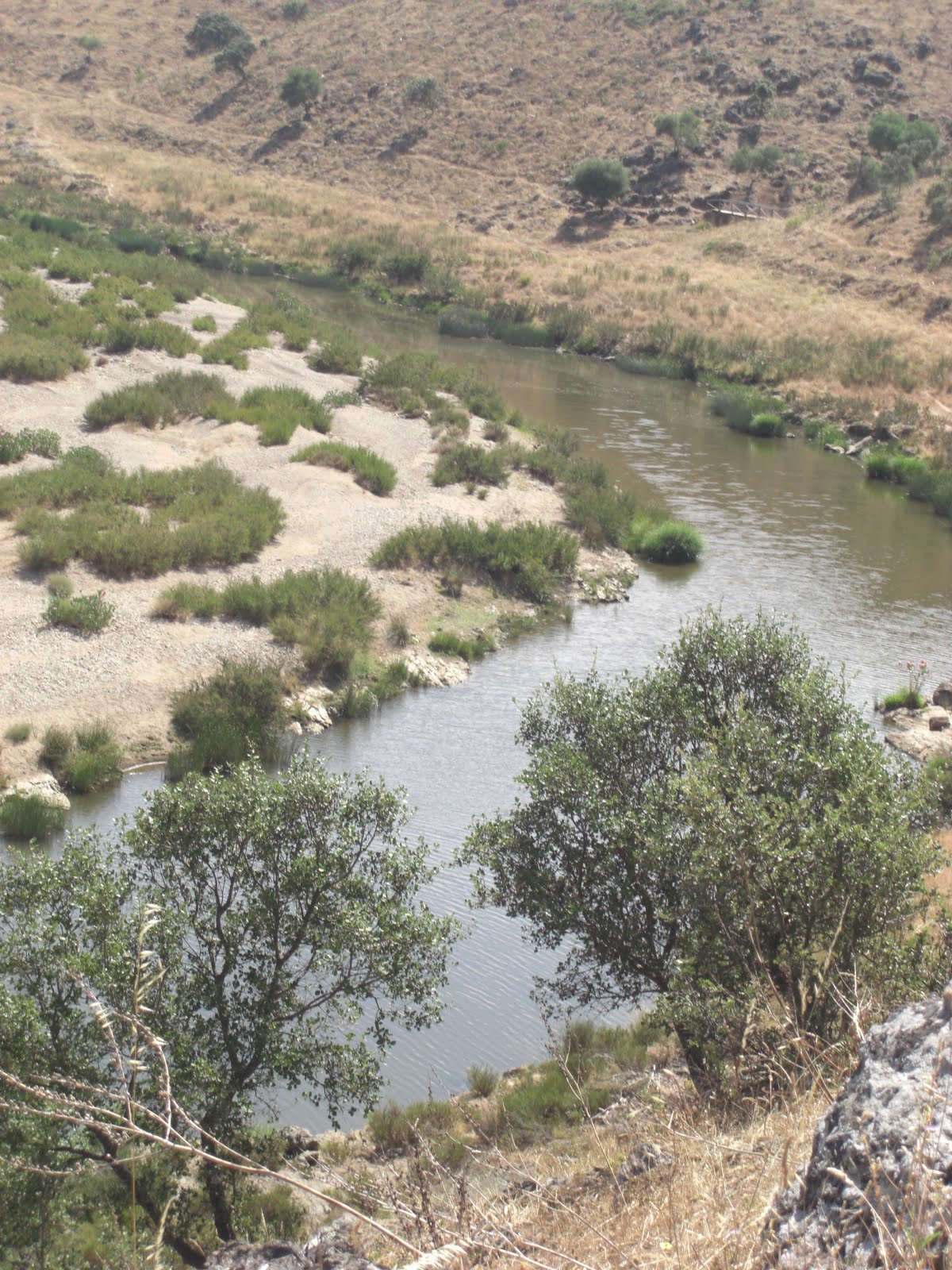 Acércate a Paymogo: Sobre Paymogo