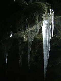 Geology in Motion: Ice stalactite dynamics