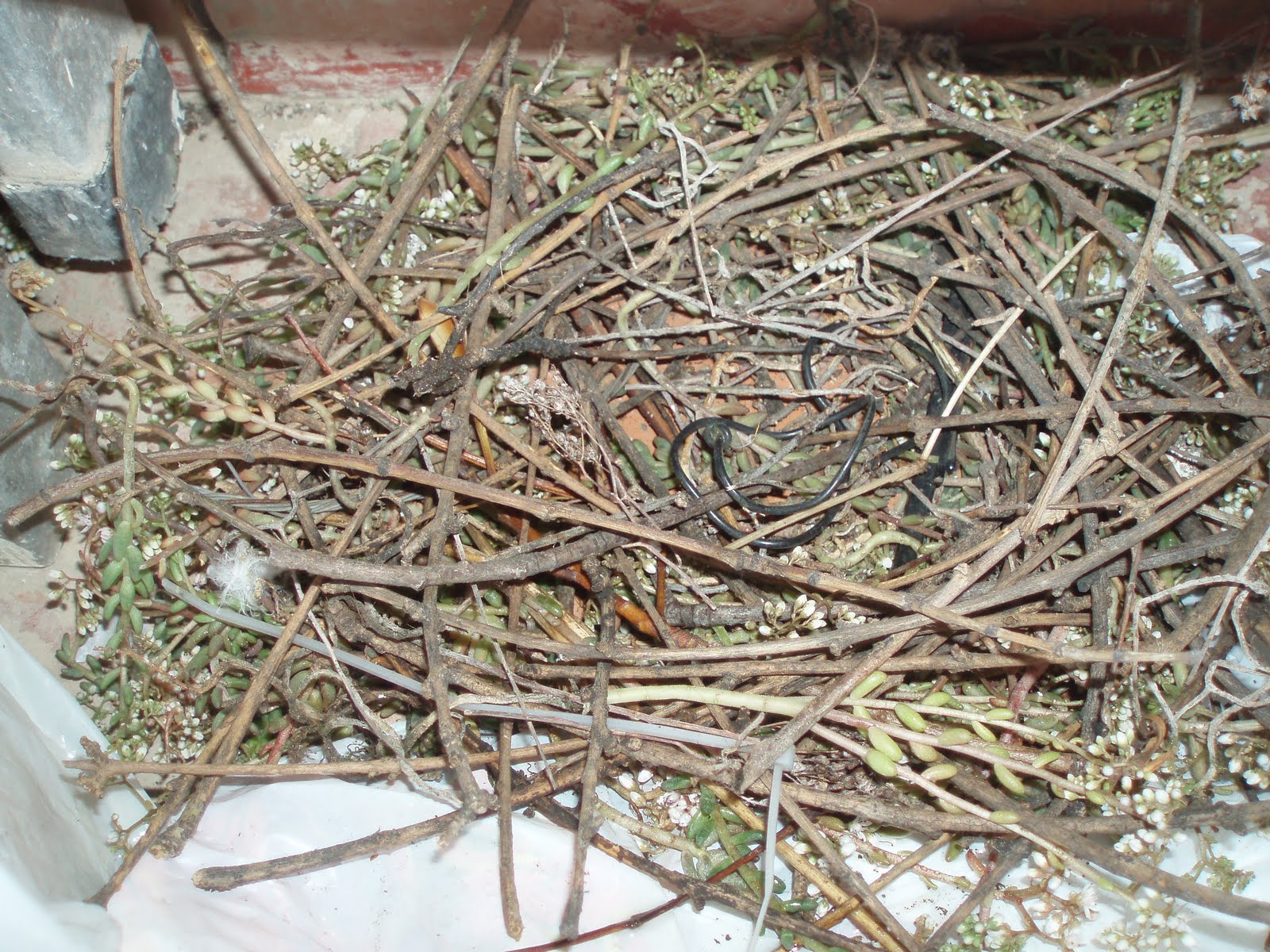 Tal vez inútil: Metáfora material