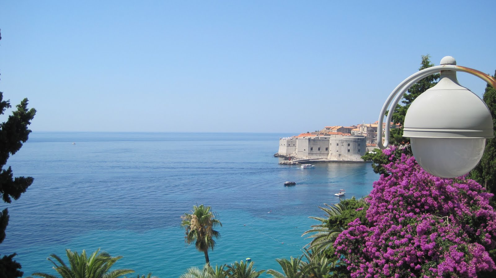 Adventures in the 'Pest